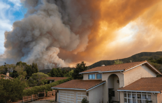 New Edition of Insights for Your Industry® “Wildfire: A Fearsome but ...